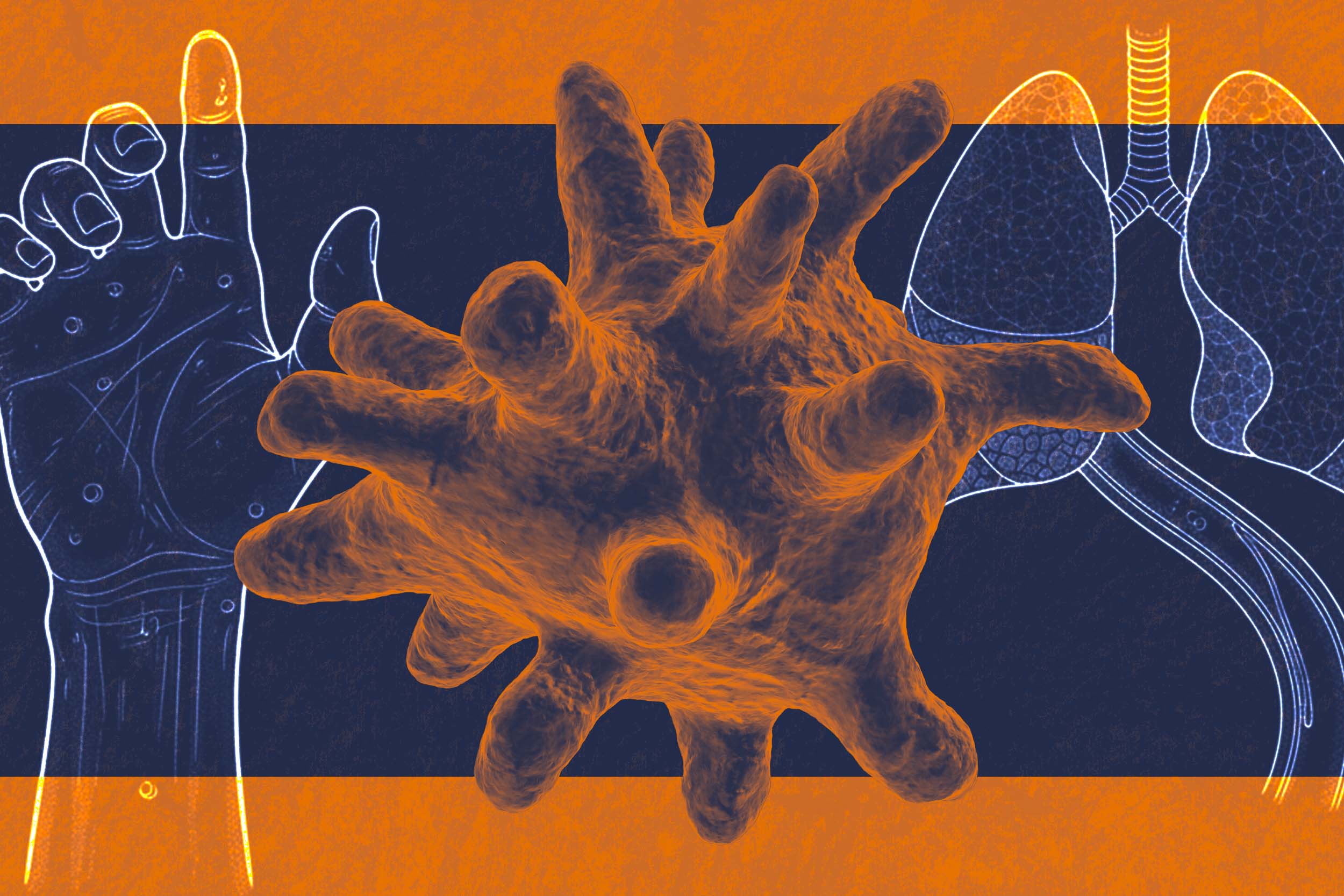 UVA researchers identify cells driving life-threatening scleroderma