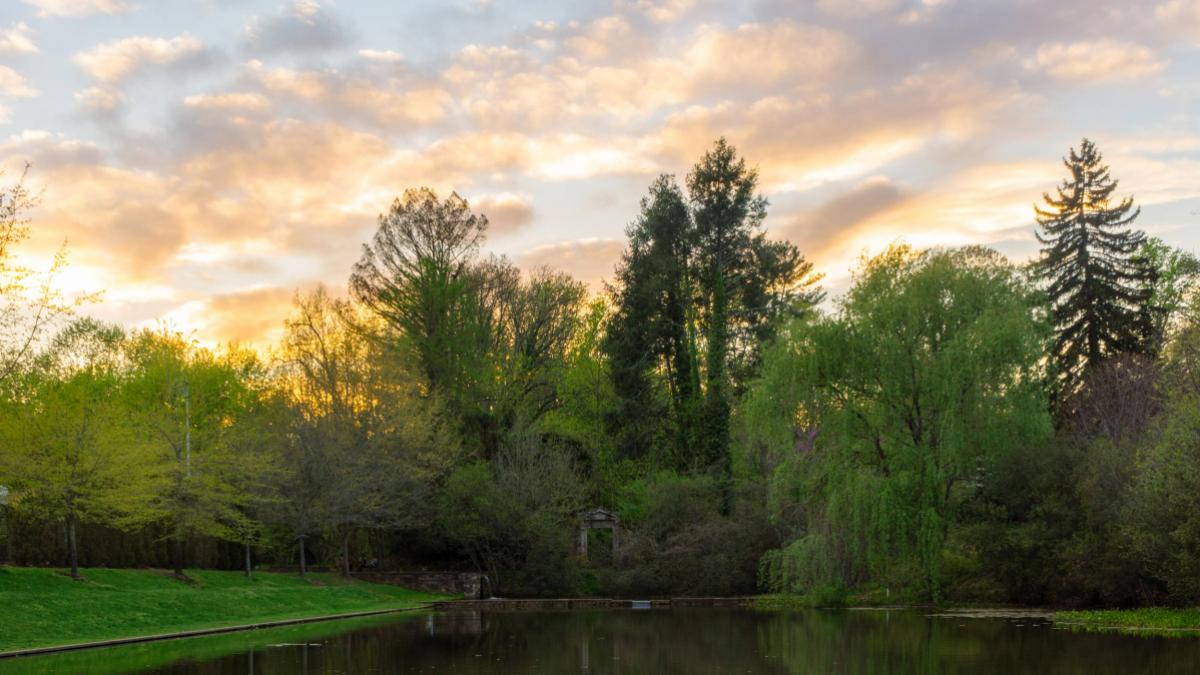 UVA’s Spring Photo Contest Captures the Best of Spring on Grounds | UVA ...
